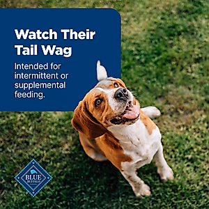 Blue Buffalo Nudges Jerky Cuts Dog Treats, Made in the USA with Natural Ingredients, Chicken & Duck, 10-oz. Bag