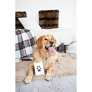 Pearhead Pet Clean-Touch Ink Pad, Medium/Large, Black Ink Pad for Cats or Dogs, Pet Owner, Pet Owner Must Have Item, Pet Memory Keepsake, for Medium to Large Pets