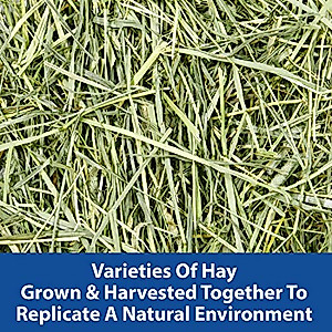 Kaytee Wild Meadow Grown Hay Blend