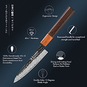 TURWHO 10.5-inch Japanese Sashimi Knife Hand Forged 67 Layers Damascus Steel Salmon Kitchen Knives