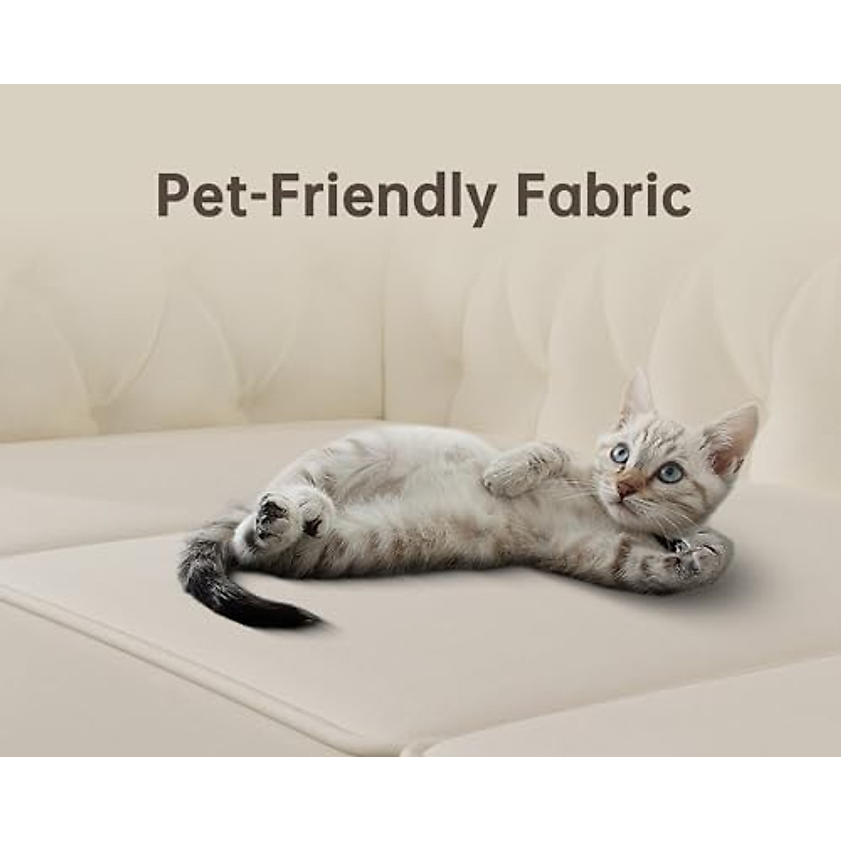 Morden Fort [2-Year-Service] Sofa Couch [No Sagging] Velvet Couch 24'' Deep Seat Comfy Couches for Living Room Sofas Firm Soft Velvet Sofa Pet-Friendly Chesterfield Modern Sofa Beige