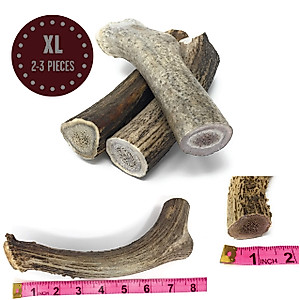 Grade A USA Deer Antlers for Dogs! Odorless, Split-Resistent Horns for Aggressive Chewers! Easy to Digest Antler for Healthy Joints! 1 lb
