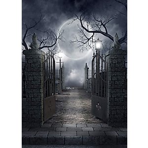 OUYIDA Halloween Theme 6X9FT Pictorial Cloth Seamless Customized Photography Backdrop Background Studio Prop TP17