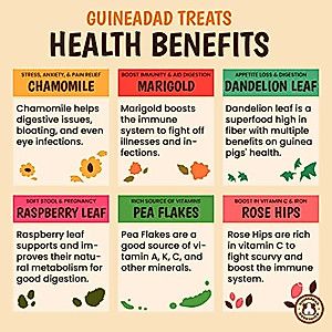 GuineaDad Organic Guinea Pig Herbal Treats - Guinea Pig Food with Convenient Packaging - Chamomile Flavor - 1.5-oz - Guinea Pig Treats Help With Bonding - High in Nutrition, Good For Digestion - Large