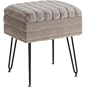 Soohow Storage Ottoman Foot Rest, Faux Fur Makeup Vanity Stool, Vanity Chair for Makeup Room, Foot Stool for Living Room, Bedroom,Metal Legs
