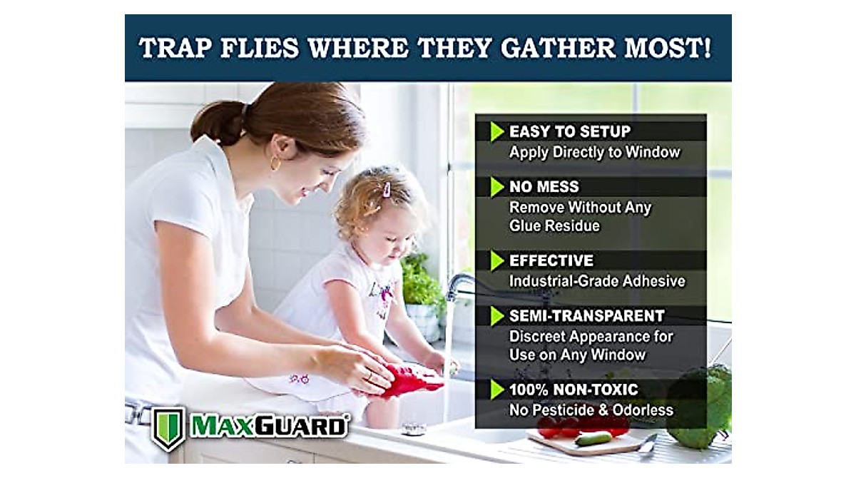 MaxGuard Window Fly Traps - Non-Toxic Insect Solution