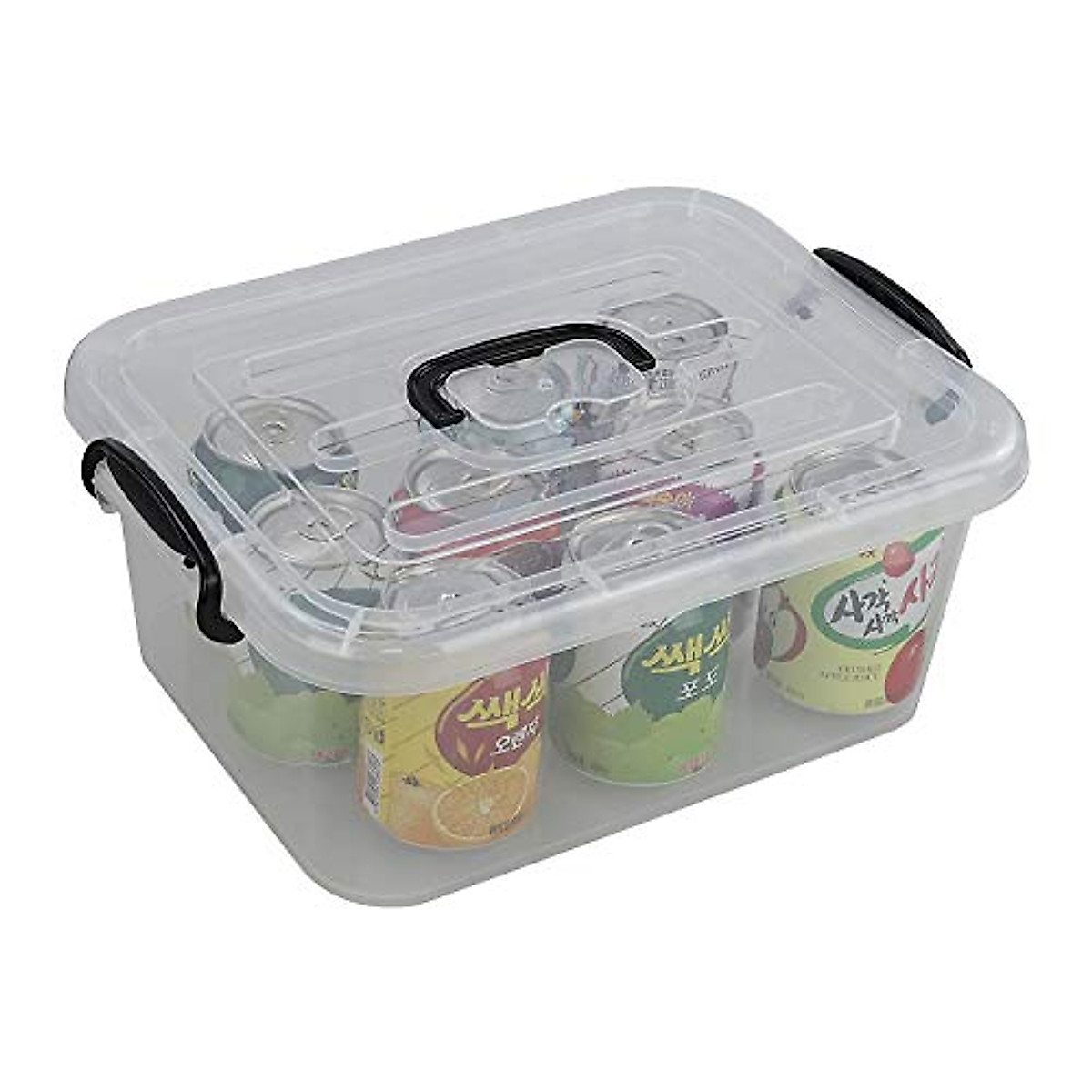 Xowine 8 L Plastic Storage Boxes, Clear Storage Bin with Black Handle, 2-Pack