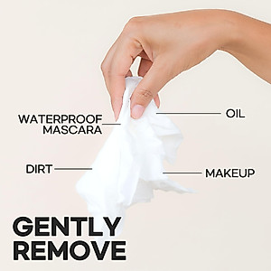 Epielle Argan Oil Makeup Remover Cleansing Wipes Tissue | Gentle for all Skin Types | Daily Facial Cleansing Towelettes | Removes Dirt, Oil, Makeup (Pack of 6)