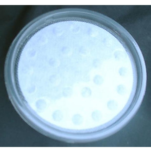 Dubia Roaches 100 Mixed Size for Feeding Reptiles by Copper Dragon's Roaches