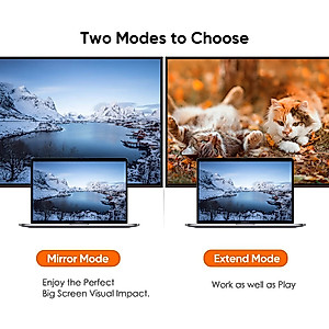 CableCreation Active DisplayPort to DVI Adapter DP to DVI-I Converter Eyefinity Multi-Screen Support 1080p, 0.5 FT