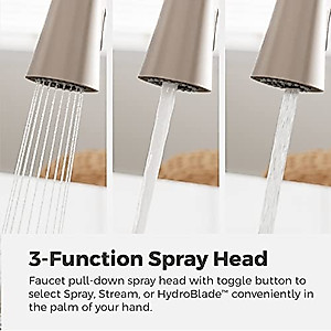 Pfister Talega Kitchen Faucet with Pull Down Sprayer, Single Handle, High Arc, Spot Defense Stainless Steel Finish, F5297TEGS