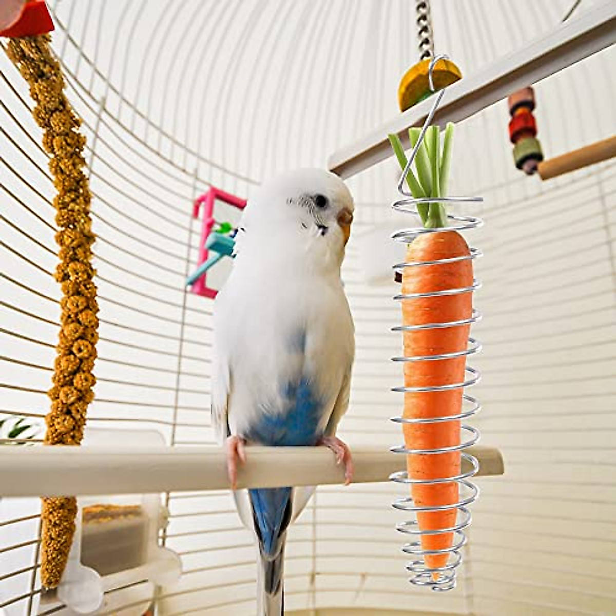 ACSUZ Bird Feeder Pole Parrots Foraging Toys for Birdcage Spiral Metal Bird Food Holder with Hook Stainless Steel