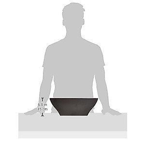 Primo 334 Cast Iron Divider for Primo Oval XL Grill