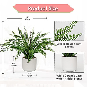 DILATATA Faux Plant Indoor in Ceramic Pot 16" Artificial Potted Boston Fern Fake House Plants for Desk Office Bathroom Garden Decoration
