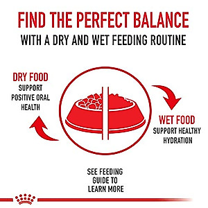 Royal Canin Medium Puppy Wet Dog Food, 4.9 oz cans 10-count