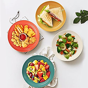 OAMCEG 12 Pack Plastic Plates Reusable 9 Inches Unbreakable Eco-Friendly Lightweight Wheat Straw Plates, Salad Plates, Camping Plates, Dinner Plates, Dishwasher & Microwave Safe, BPA FREE