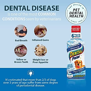 Dental Fresh Advanced Whitening Water Additive, 17oz – Dog Breath Freshener Formula to Hep Overall Dog Dental Care and Brighten Teeth