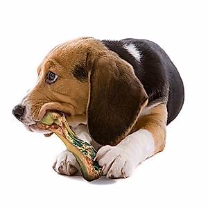 Nylabone Rubber Camo Bone Strong Chew Dog Toy Duck Medium/Wolf (1 Count)