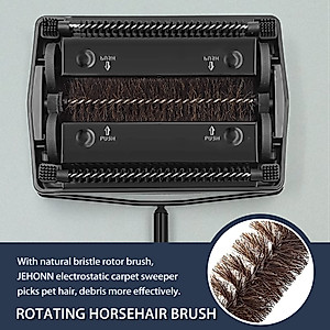 JEHONN Carpet Floor Sweeper with Horsehair, Broom and Dustpan Set for Home
