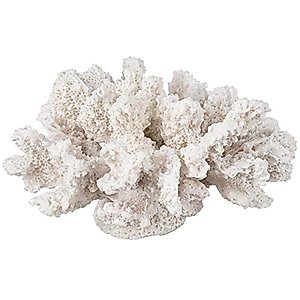 Nautical Crush Trading Decorative Sea Coral - 4in x 3.5in x 2.5in - Small White Coral for Beachy Decor - Perfect for Aquariums - Fish Tanks