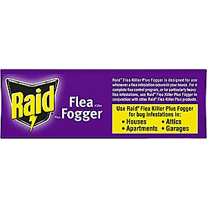 Raid Flea Flogger Plus Killer, Kills Fleas and Hatching Eggs (3 Count (Pack of 3)