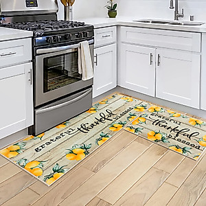 Asrug 2 Pieces Kitchen Rug Set Non-Slip Backing Mat Natural Design Throw Rug for Kitchen Doormat Runner Rug Set, Lemon Design, 17"x48"+17"x24"