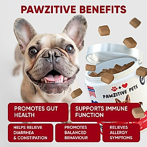 Probiotics for Dogs Digestive Health - Probiotic Chews for Gut Health, Itchy Skin Yeast, Diarrhea - USA Product - Immune Support Supplement - Dog Digestive Support Chewable Probiotic & Enzymes