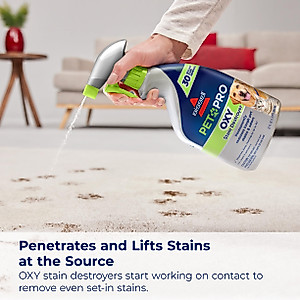 Bissell PET PRO OXY Stain Destroyer for Carpet and Upholstery, 22 oz, 2 Pack, 17739, 44 Fl Oz
