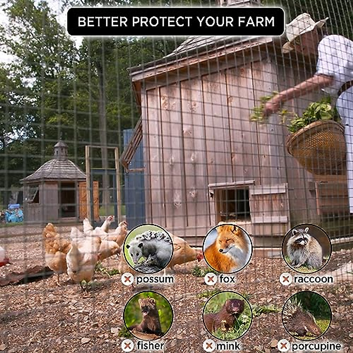 Upgraded Black Hardware Cloth Galvanized Wire Mesh 1/2 Inch 19 Gauge Chicken Wire Fence Roll Welded Wire Mesh Fence Roll for Home and Garden Fence and Home Improvement Project (1/2 inch 36''x100')