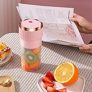 SH-RuiDu Portable Blender, 450ml Personal Size USB Rechargeable Mini Blender Fruit Juicer with 6 Strong Cutting Power Blades for Shakes and Smoothies, Portable Juicer for Home Office Travel Sports