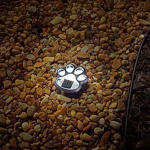 Smart Solar Paw Print Garden Accent Light with Cool White LEDs 3341WMM6