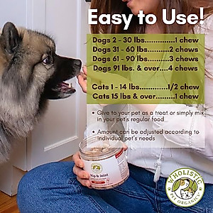 Wholistic Pet Organics Run Free: Dog Joint Health Supplement Glucosamine Chondroitin for Dogs Arthritis Pain Relief Joint Supplement Dog Calming Treat