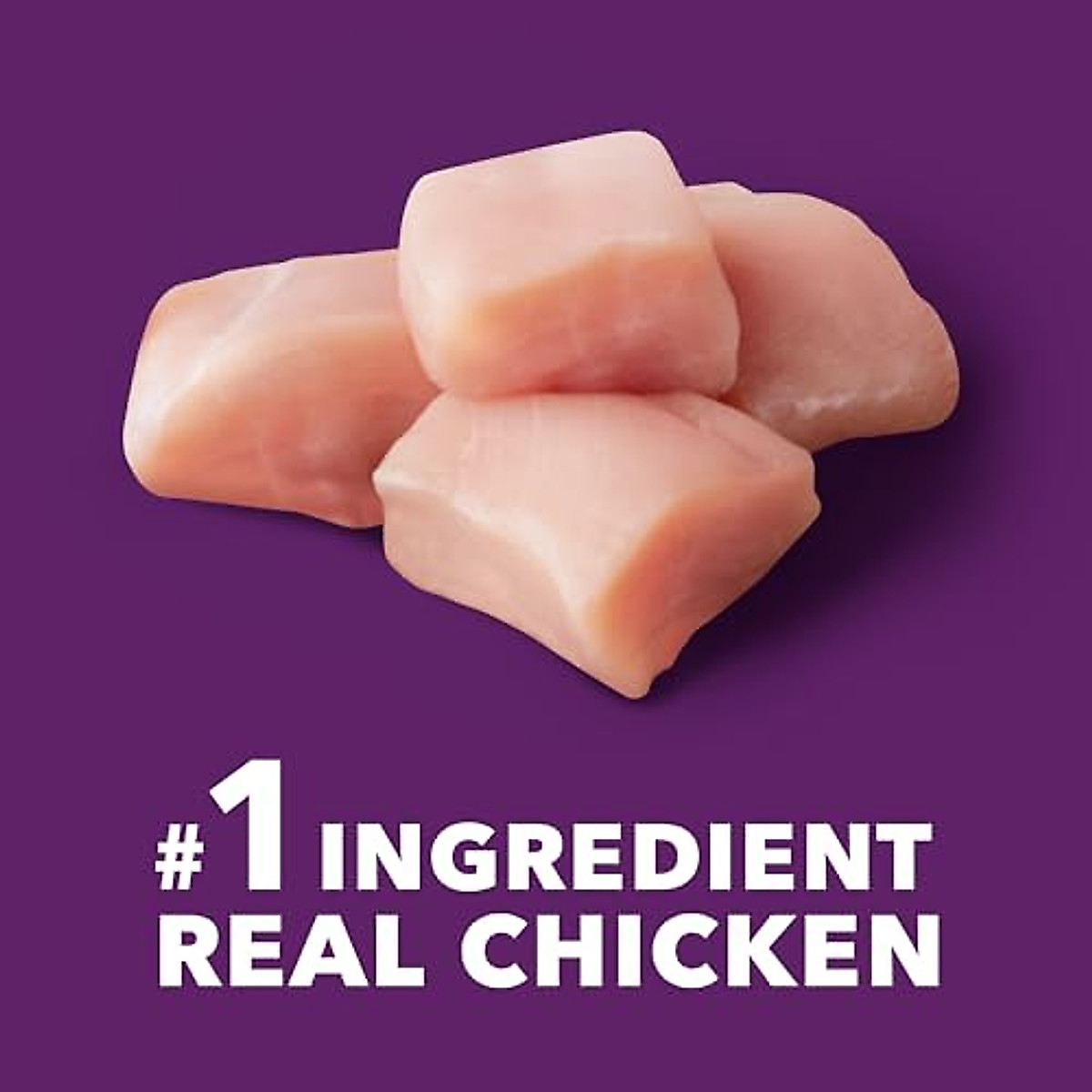 IAMS Advanced Health Mobility Support Chicken and Whole Grain Recipe Adult Dry Dog Food, 6 lb. Bag