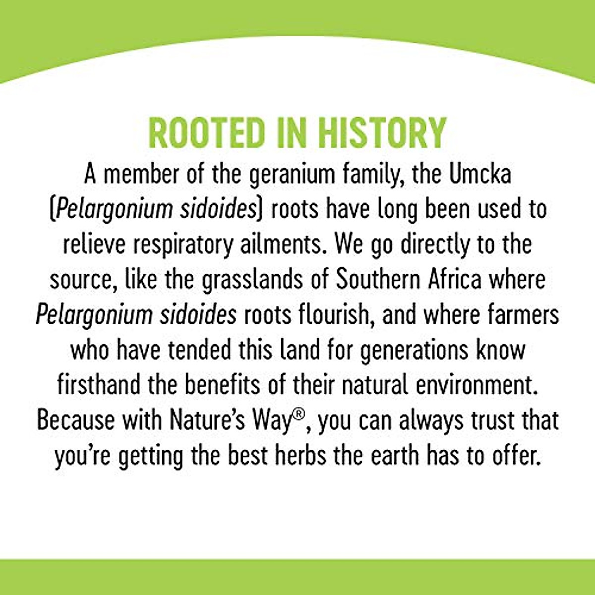 Nature's Way Umcka Allergy and Sinus Homeopathic Chewable Tablets- Cherry Flavor- 20 Count