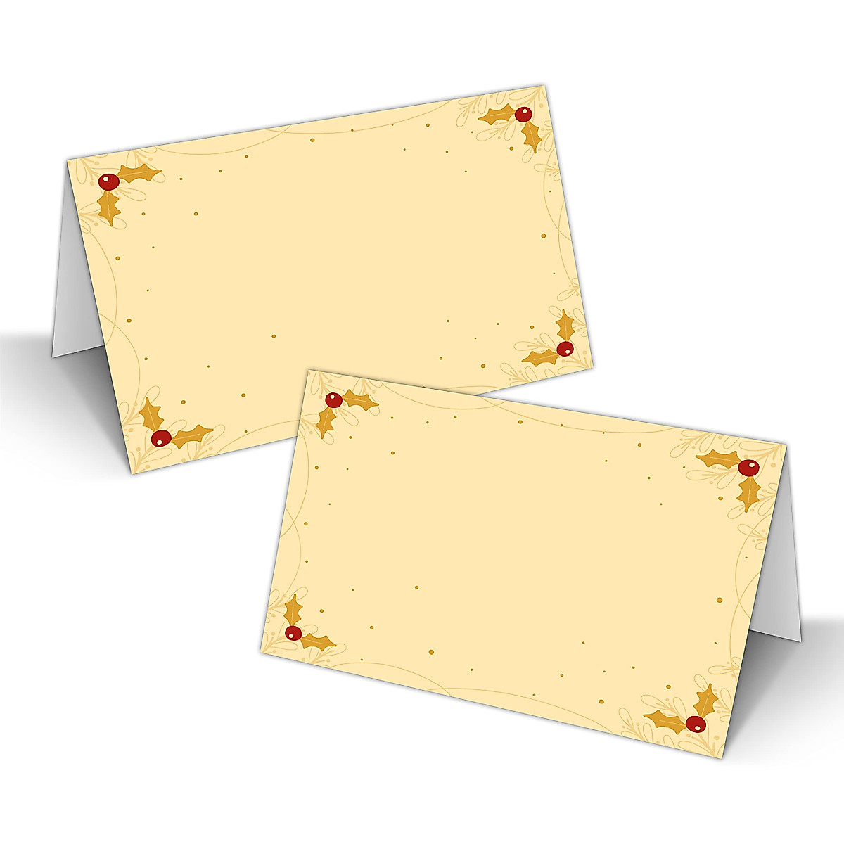 Christmas Table Place Cards, Xmas Blank Seating Place Card for Table, 25 Pack Buffet Food Tent Labels, Double Design Name Cards, Scored for Easy Folding, Christmas Party Decorations(01)