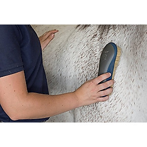 Oster Equine Care Series Finishing Brush, Soft Bristle, Natural Hog Hair, Blue