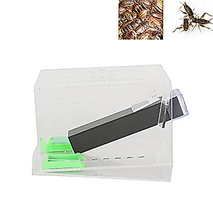 Luroze Cricket Care Kit, Easy to Cricket Keeper Tank Box High Transparency Acrylic Material for Home for Office(S)