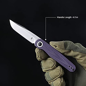 Kizer Squidward Pocket Knife for EDC, 154CM Steel and G10 Handle, Purple Daily Folding Knife, Office Knife, V3604C1
