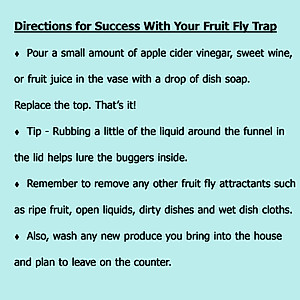 Fruit Fly Jar Trap for Kitchens - Decorative, Effective, Kid and Pet Friendly (White)