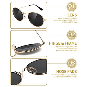 Pro Acme Retro Oval Metal Polarized Sunglasses for Women Men Small Trendy 90s Vintage (Gold/Grey)
