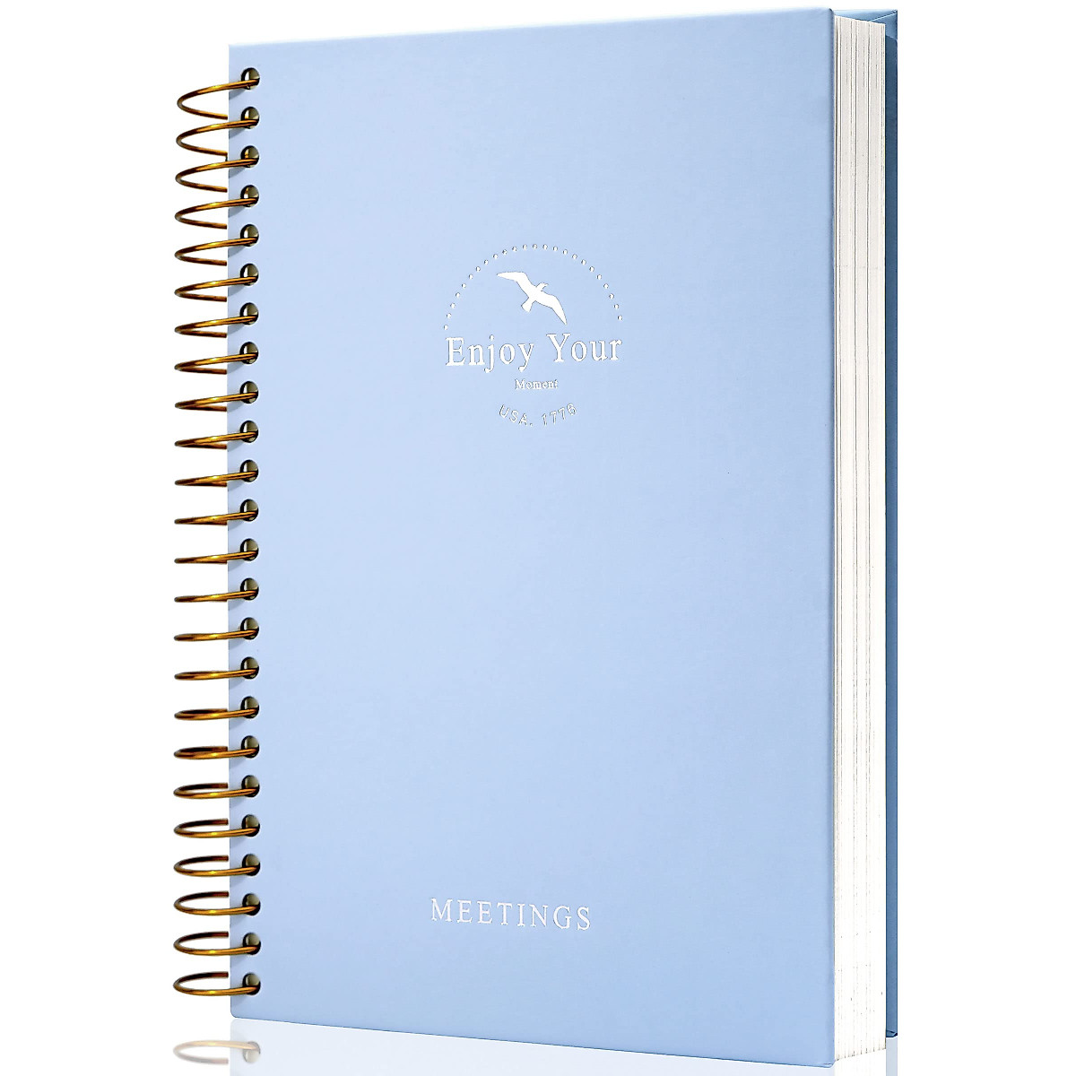 Meeting Notebook for Work with Action Items 120 Sheets Meeting Planner Organizer for Office Meeting Agenda Book Spiral Meeting Notes Notebook for Women Men, A5 Blue