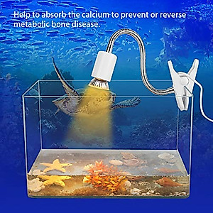 Pssopp 25W/50W 220‑240V Heating Light Aquarium Heat Basking Lamp LightB Bulb for Reptile Lizard Turtles(50W)