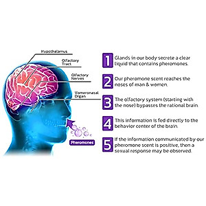 NSRA 100ml France Golden Lure Lace Women Perfume, Pheromone Perfume for Women Attract Men, Golden Lure Cologne Golden Lure Pheromone Perfume Spray (Purple)