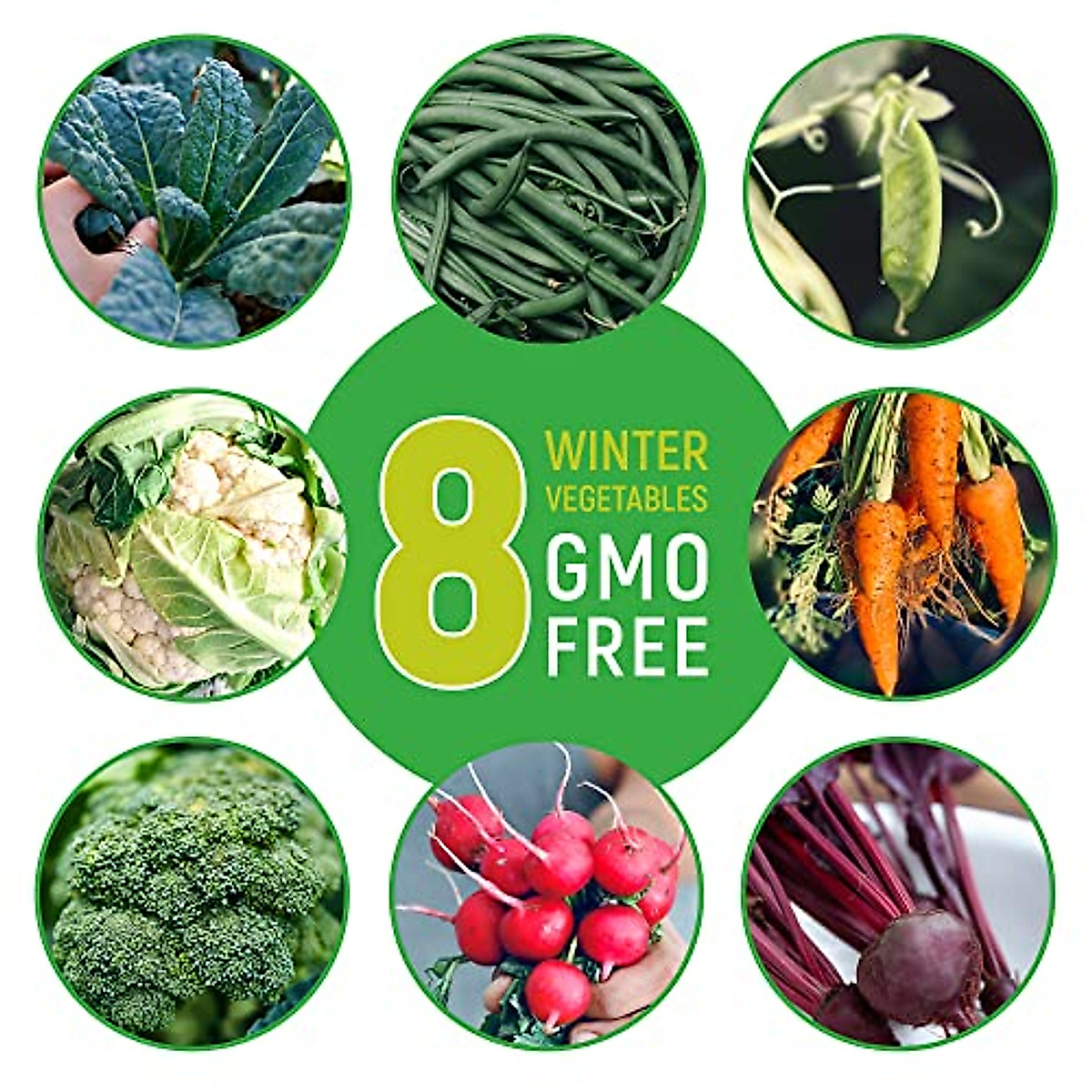 Organic Winter Vegetable Seeds Heirloom Seeds for Planting, Green Beans, Beets, Broccoli, Carrot, Cauliflower, Kale, Peas, Radish - Môpet Marketplace