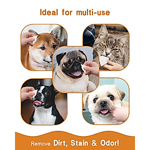 FriPuP Dog Eye Wipes, Travel Size Pet Wash Pads for Ear Face Wrinkle Cleaning, Gentle Tear Stain & Eye Discharge Remover for Cats Kitten Puppy, Essential Small Dog Items, Soft 100 Count (Pack of 2)
