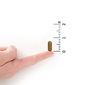 Garden of Life Joint and Tissue Support, FYI Supplement with Chicken Collagen Type II, Ginger, Cats Claw, Turmeric, Oregano and Enzymes Bromelain, Papain, Amylase, Lipase, 90 Day Supply, 90 Caplets