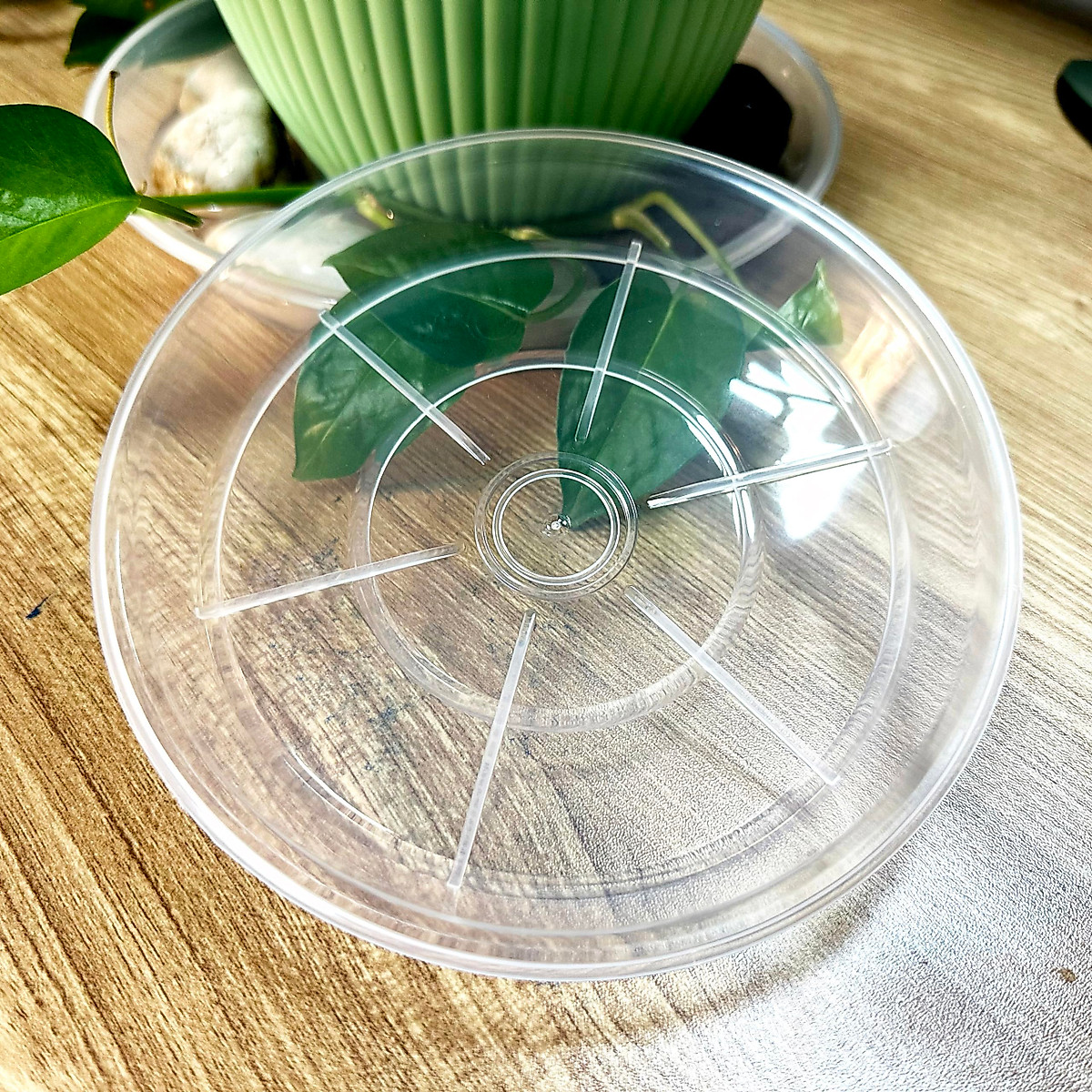 NIMYAU Clear Plant Saucer 6 Pack 4 6 7 8 10 12 14 16 inch, Heavy Duty Plastic Plant Tray Saucers for Indoors Outdoors, Plant Drainage Tray, Flower Planter Water Drip Trays for Pot (6", Clear)