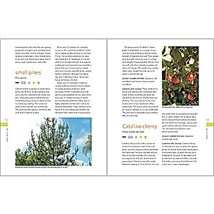 The California Native Landscape: The Homeowner's Design Guide to Restoring Its Beauty and Balance