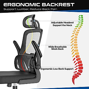 Laziiey Home Office Desk Chairs Ergonomic Chair with Lumbar Support Flip Up Arms Mesh Computer Chair with Comfortable Wide Seat Adjustable Headrest (Black)
