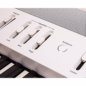 Roland FP-60X 88-Key Digital Piano - White Bundle with Adjustable Stand, Bench, Deluxe Sustain Pedal, Instructional DVD, Online Piano Lessons, and Austin Bazaar Polishing Cloth - White